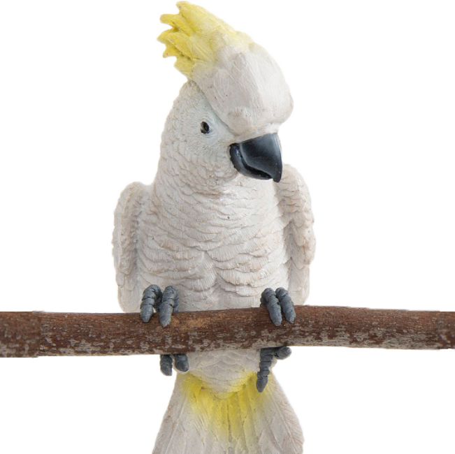 Sulphur-Crested Cockatoo Pot Sitter – Jarrah Media